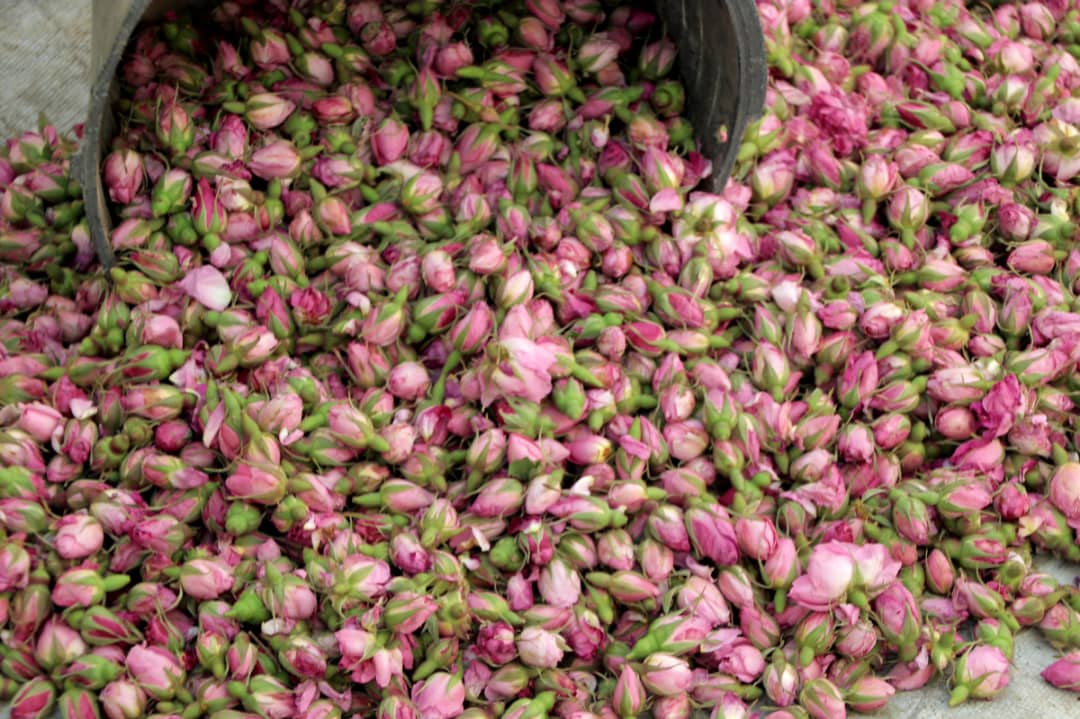 A UNESCO Hidden Treasure in a Little Village in Syria